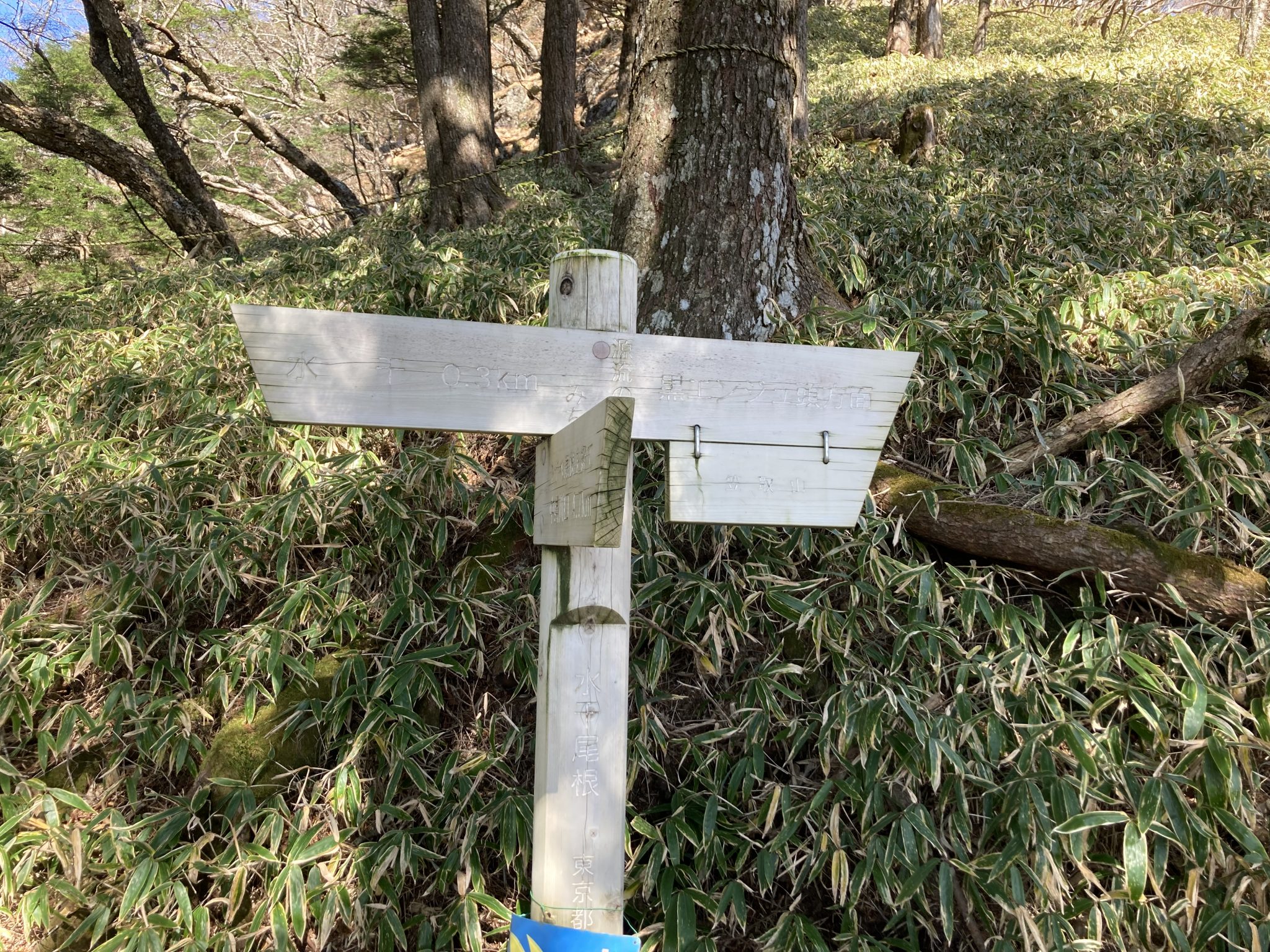 山日記 vol.26 山梨百名山 笠取山～黒槐山 | kyompiです。ぼっちじゃないしソロですし。